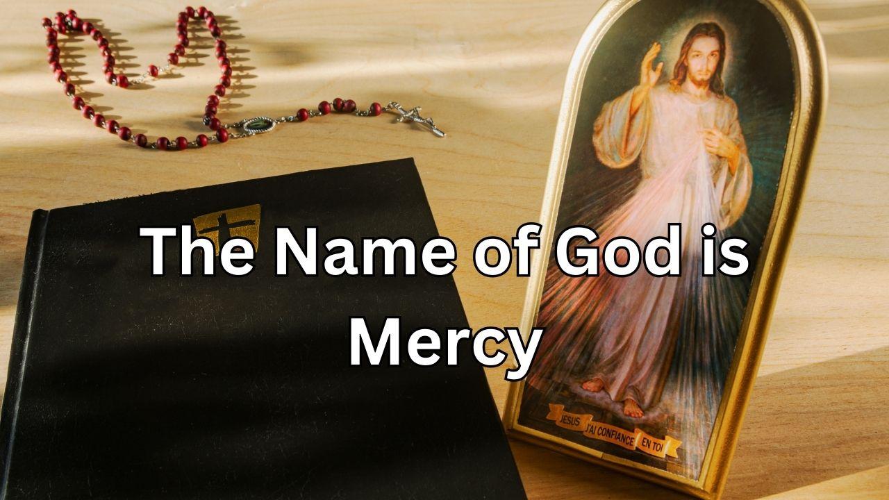 The Name of God is Mercy Book Summary