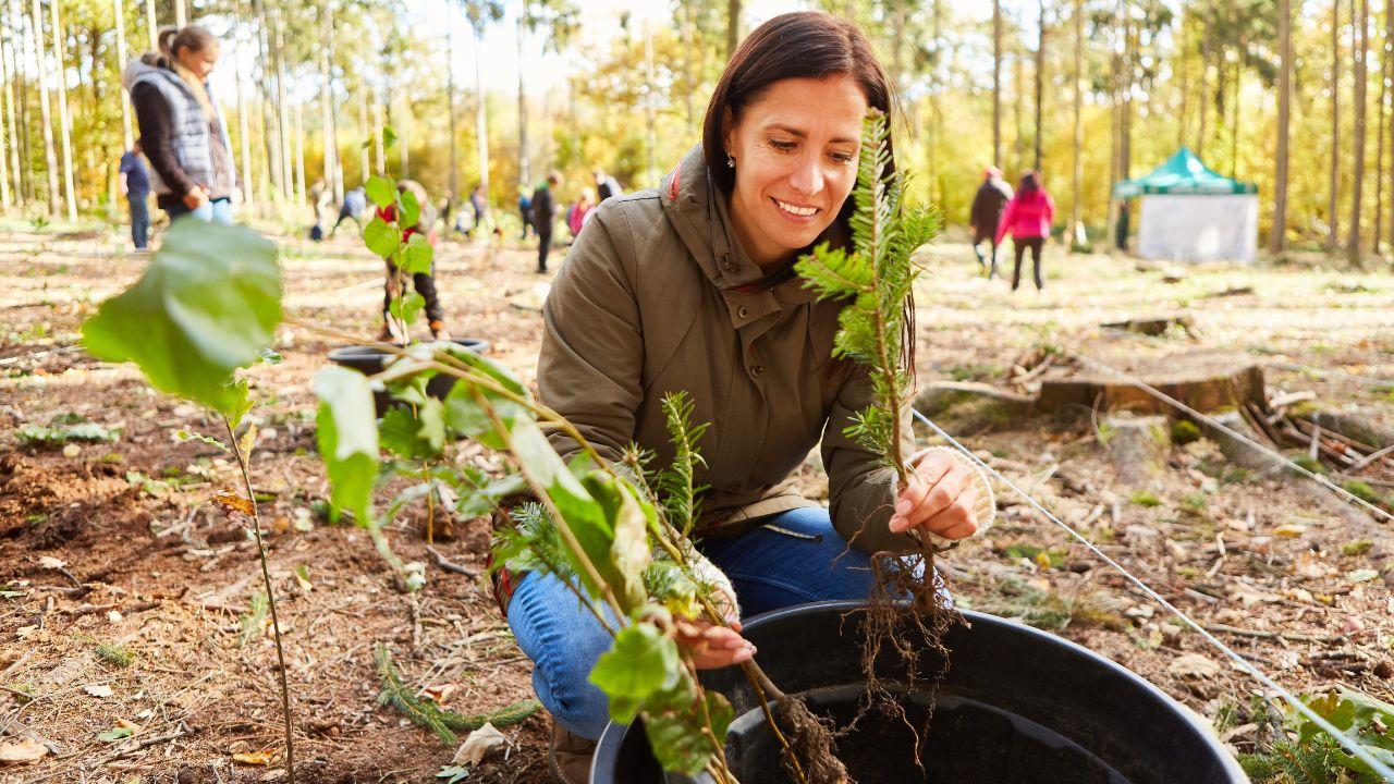 What Happened to the Christian View on Environmental Stewardship?