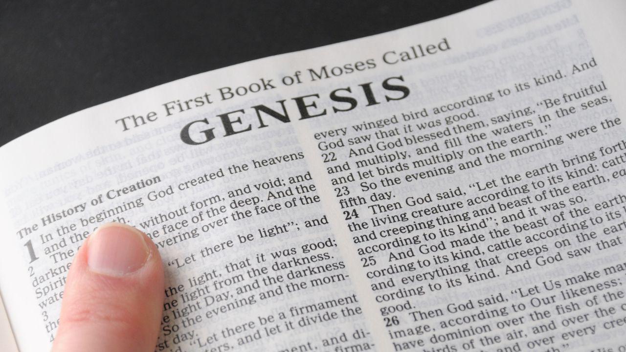 What Happened to the Debate Over Creation and Evolution?