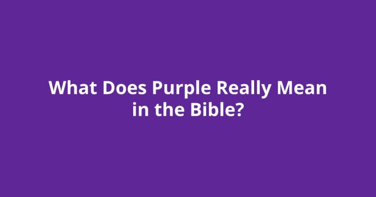 What Does Purple Really Mean in the Bible?